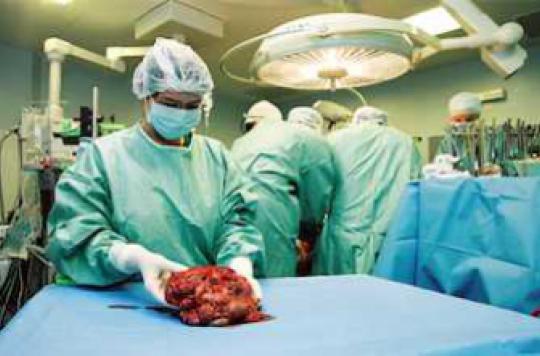 Greffe : une technique prolonge la vie des organes à transplanter