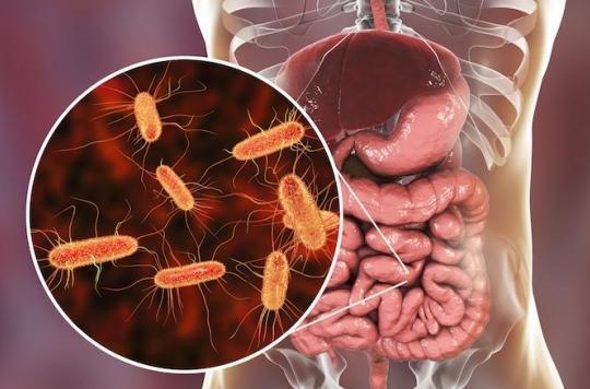 Vers intestinaux : agir sur la flore intestinale pour les prévenir