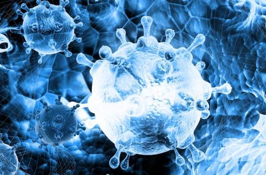 Tupanvirus : deux énormes virus découverts au Brésil sèment le trouble ...